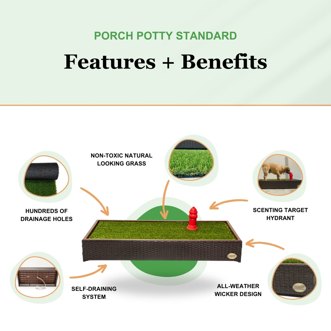 Porch Potty STANDARD – QuestBoard